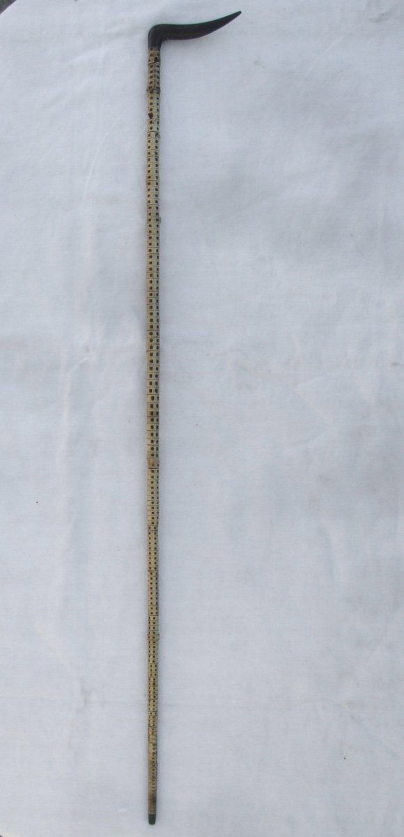 Proantic: Cane Called Captain Or Cap-hornier 19th