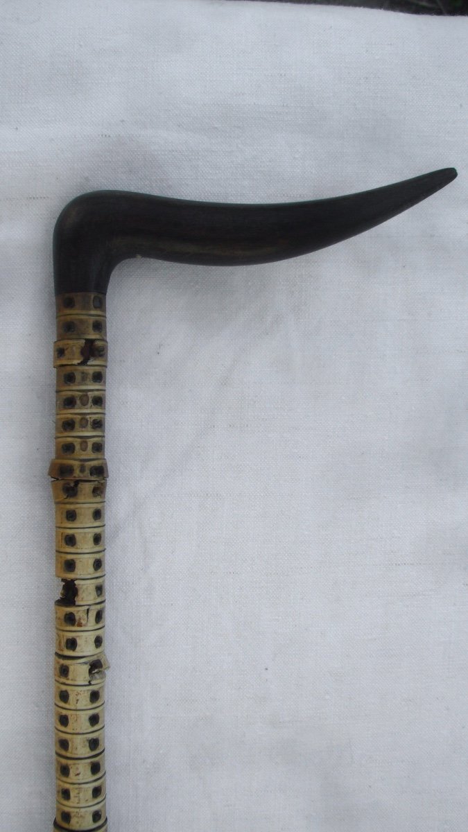 Proantic: Cane Called Captain Or Cap-hornier 19th