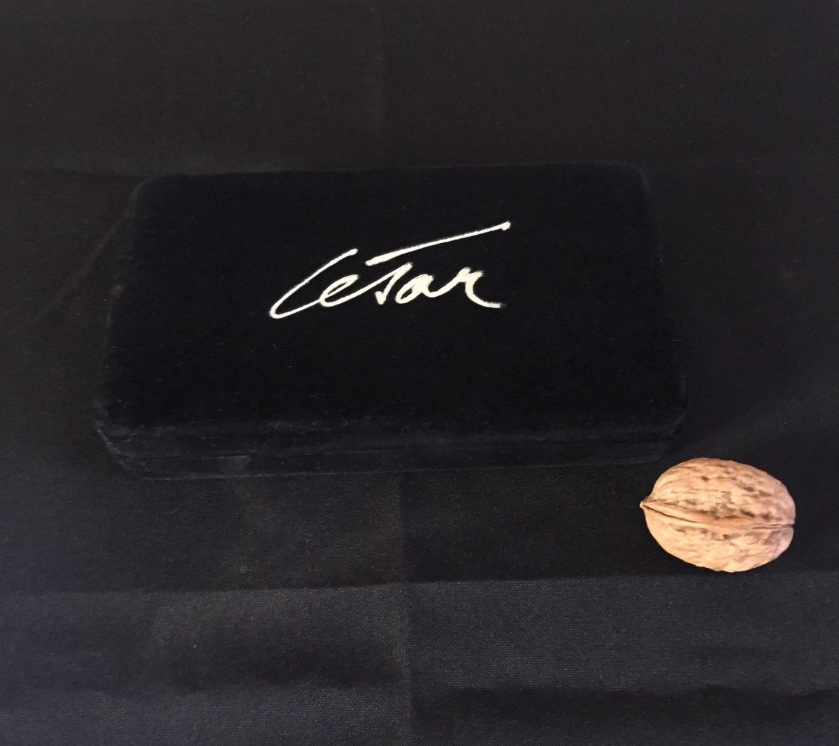 Proantic: Cesar Baldaccini Pen