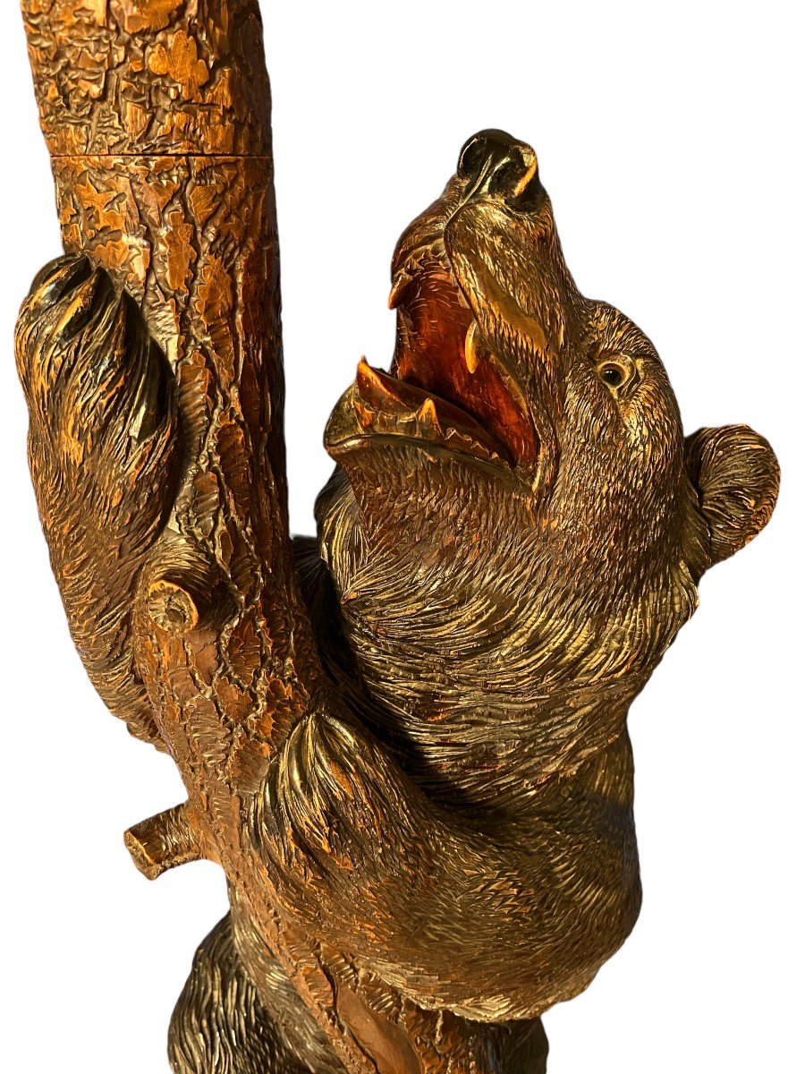 Proantic: Bear Coat Rack