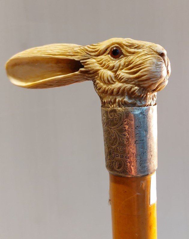 Proantic: Old Cane, Hare, Late Nineteenth Century