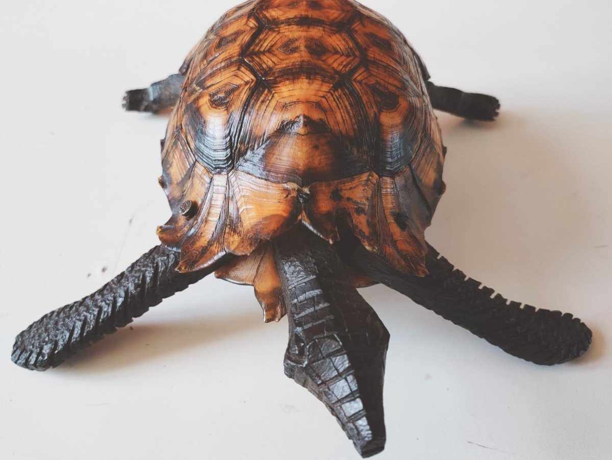 Proantic: Rare Work By Bagnard, Articulated Turtle, 19th Century.
