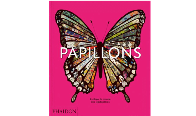 Papillons Le Magazine de Proantic